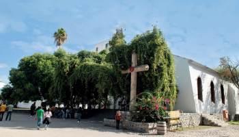 Vino mexicano: los principales tipos, regiones y bodegas – Wine.com.mx